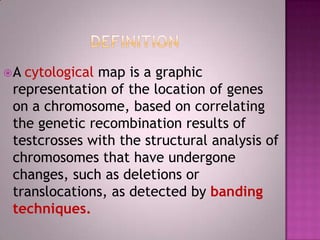 Chromosomal mappin highlighted | PPTX