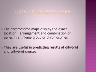 Chromosomal mappin highlighted | PPT