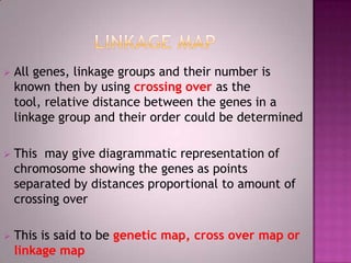 Chromosomal mappin highlighted | PPTX