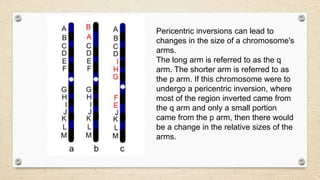 CHROMOSOMALMJTATION.pptx