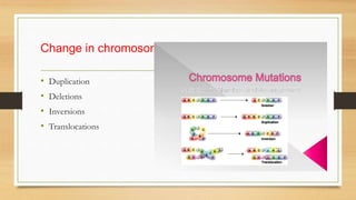 Chromosomal mutation/class 12 biology | PPTX