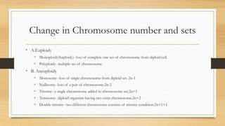 Chromosomal mutation/class 12 biology | PPTX