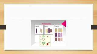 Chromosomal mutation/class 12 biology | PPTX