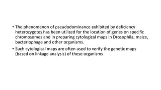 Chromosomal Mutation.pptx