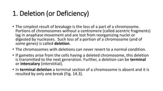 Chromosomal Mutation.pptx