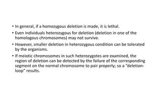 Chromosomal Mutation.pptx