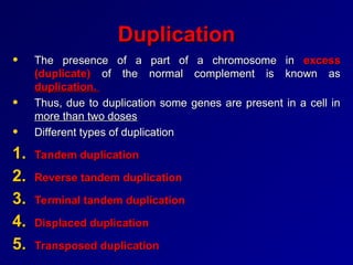 Chromosomal Mutations (Structure and Number) | PPT | Free Download