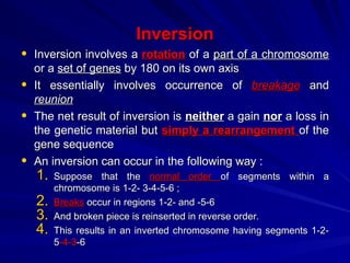 Chromosomal Mutations (Structure and Number) | PPT