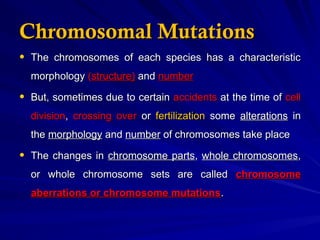 Chromosomal Mutations (Structure and Number) | PPT