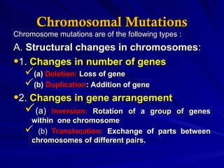 Chromosomal Mutations (Structure and Number) | PPT | Free Download