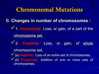 Chromosomal Mutations (Structure and Number) | PPT | Free Download