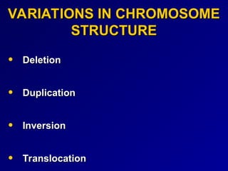 Chromosomal Mutations (Structure and Number) | PPT