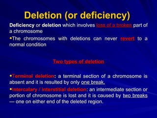 Chromosomal Mutations (Structure and Number) | PPT