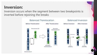 CHROMOSOMAL MUTATION (5).pptx