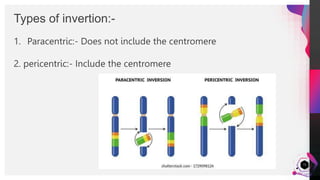 CHROMOSOMAL MUTATION (5).pptx