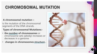 CHROMOSOMAL MUTATION (5).pptx