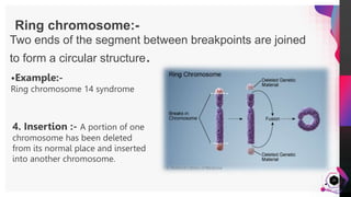 CHROMOSOMAL MUTATION (5).pptx