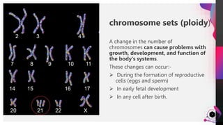 CHROMOSOMAL MUTATION (5).pptx