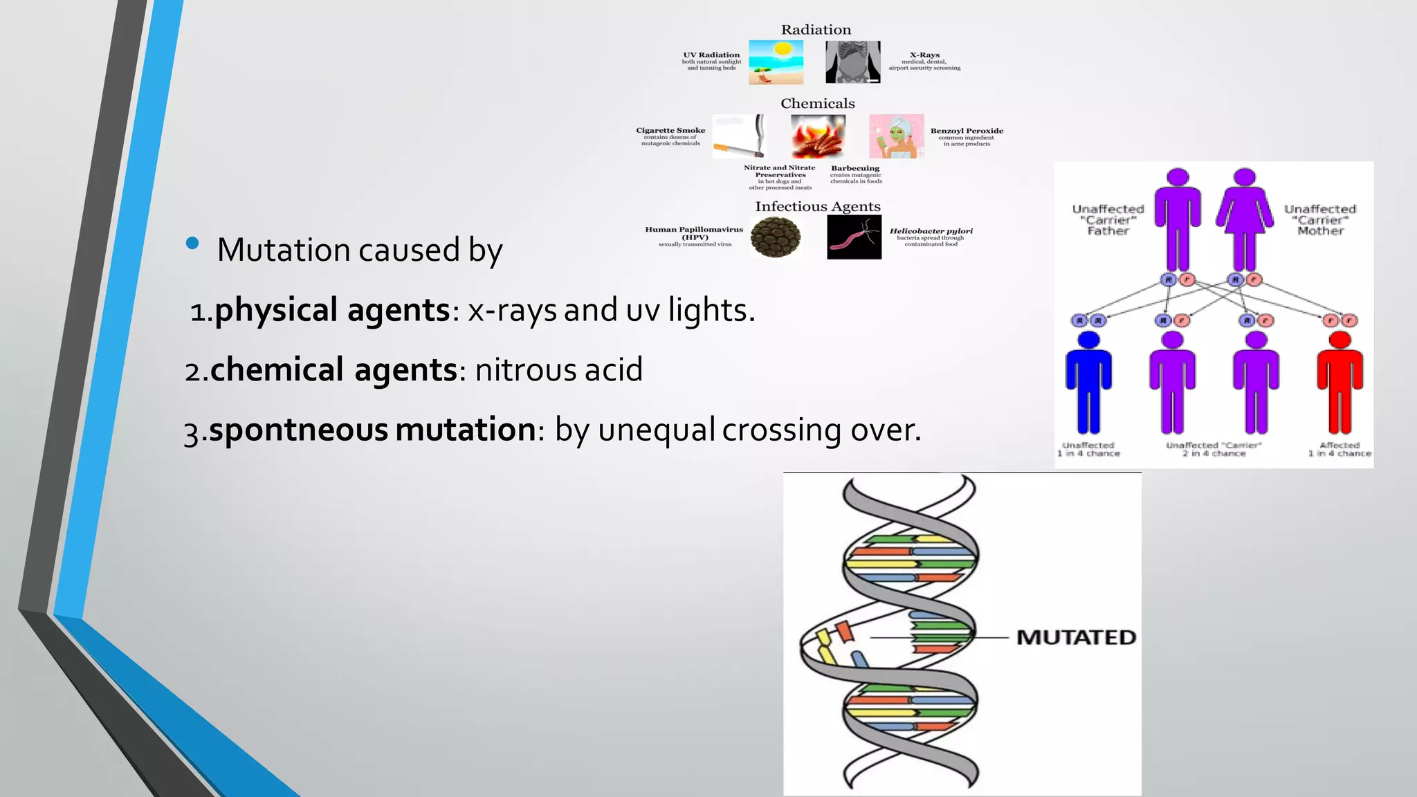 Chromosomal mutation and gene mutation | PDF