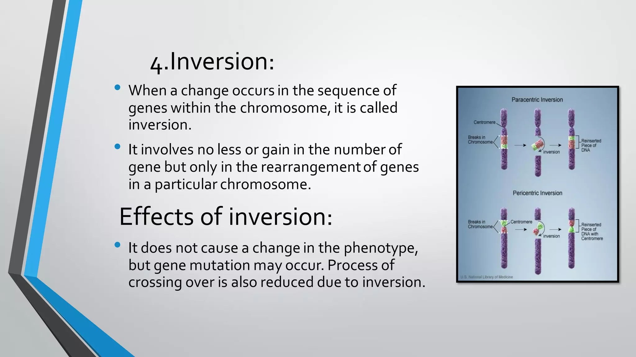 Chromosomal mutation and gene mutation | PDF