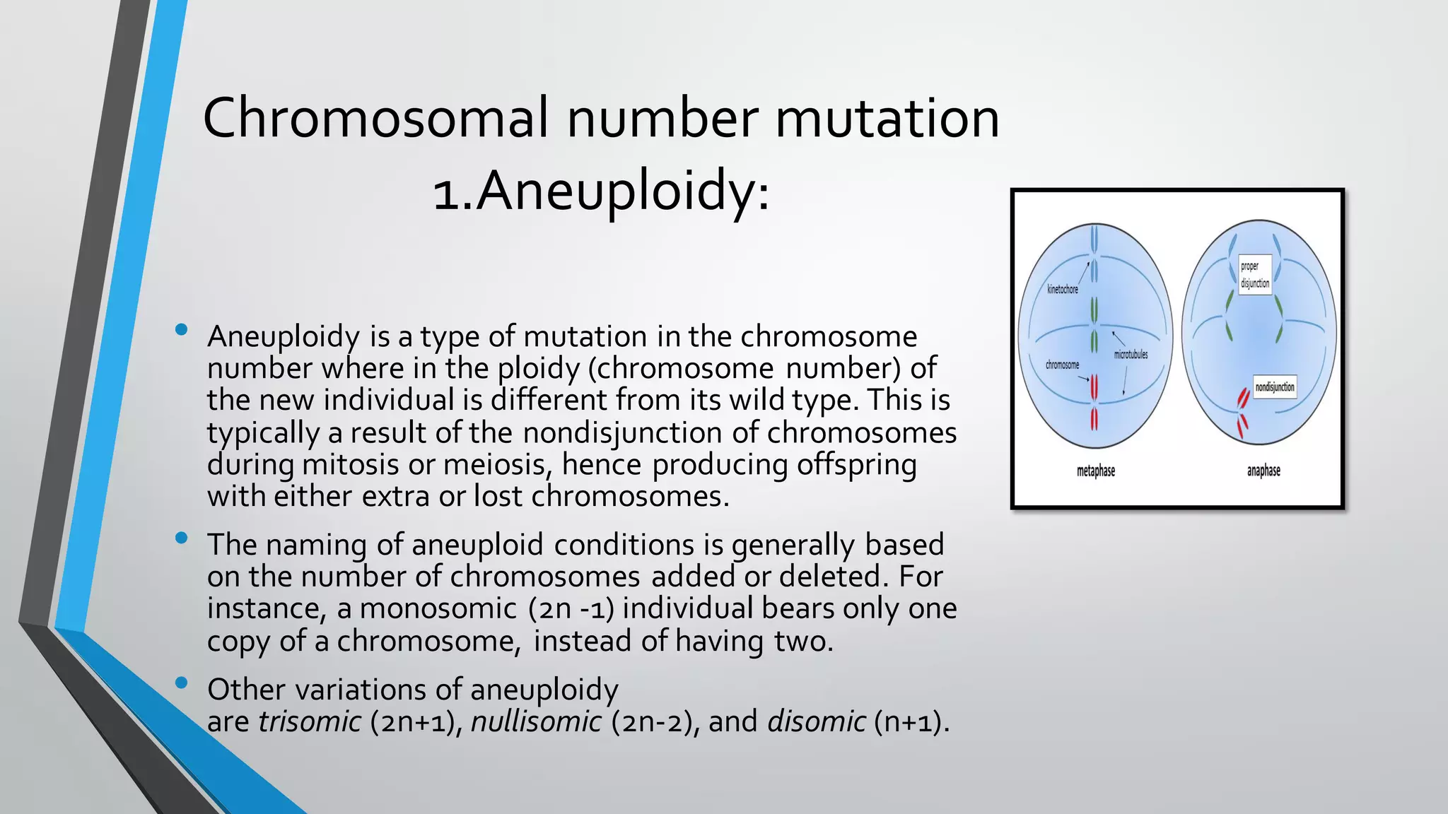 Chromosomal mutation and gene mutation | PDF