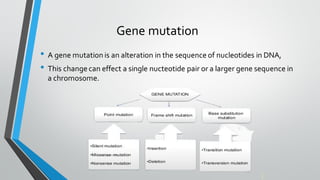 Chromosomal mutation and gene mutation | PDF