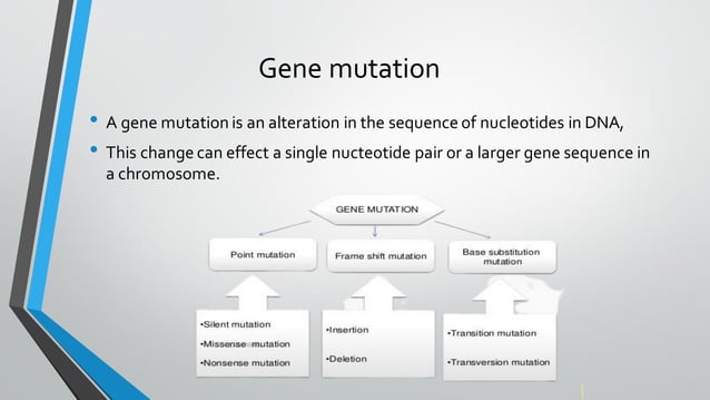Chromosomal mutation and gene mutation | PDF