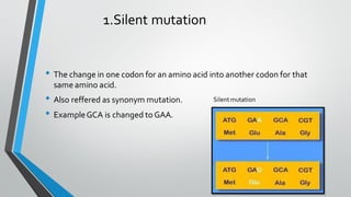 Chromosomal mutation and gene mutation | PDF