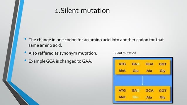 Chromosomal mutation and gene mutation | PDF
