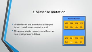 Chromosomal mutation and gene mutation | PDF