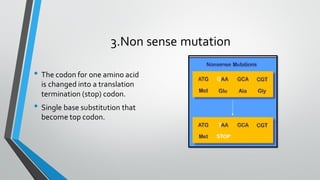 Chromosomal mutation and gene mutation | PDF