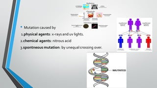 Chromosomal mutation and gene mutation | PDF