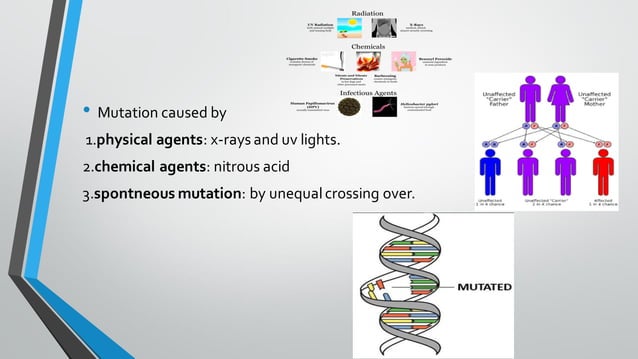 Chromosomal mutation and gene mutation | PDF