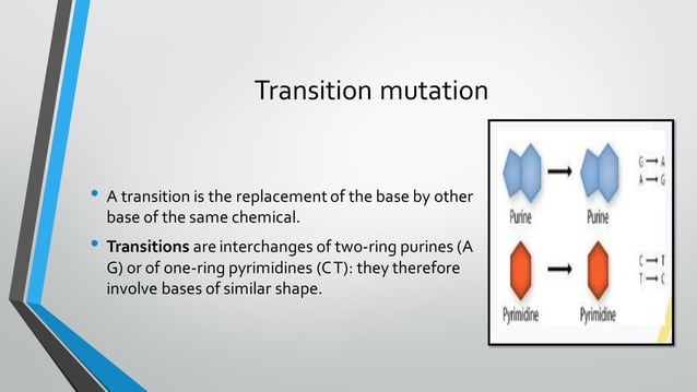 Chromosomal mutation and gene mutation | PDF