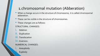 Chromosomal mutation and gene mutation | PDF