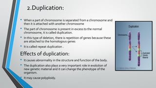 Chromosomal mutation and gene mutation | PDF