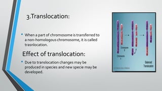 Chromosomal mutation and gene mutation | PDF