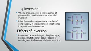 Chromosomal mutation and gene mutation | PDF