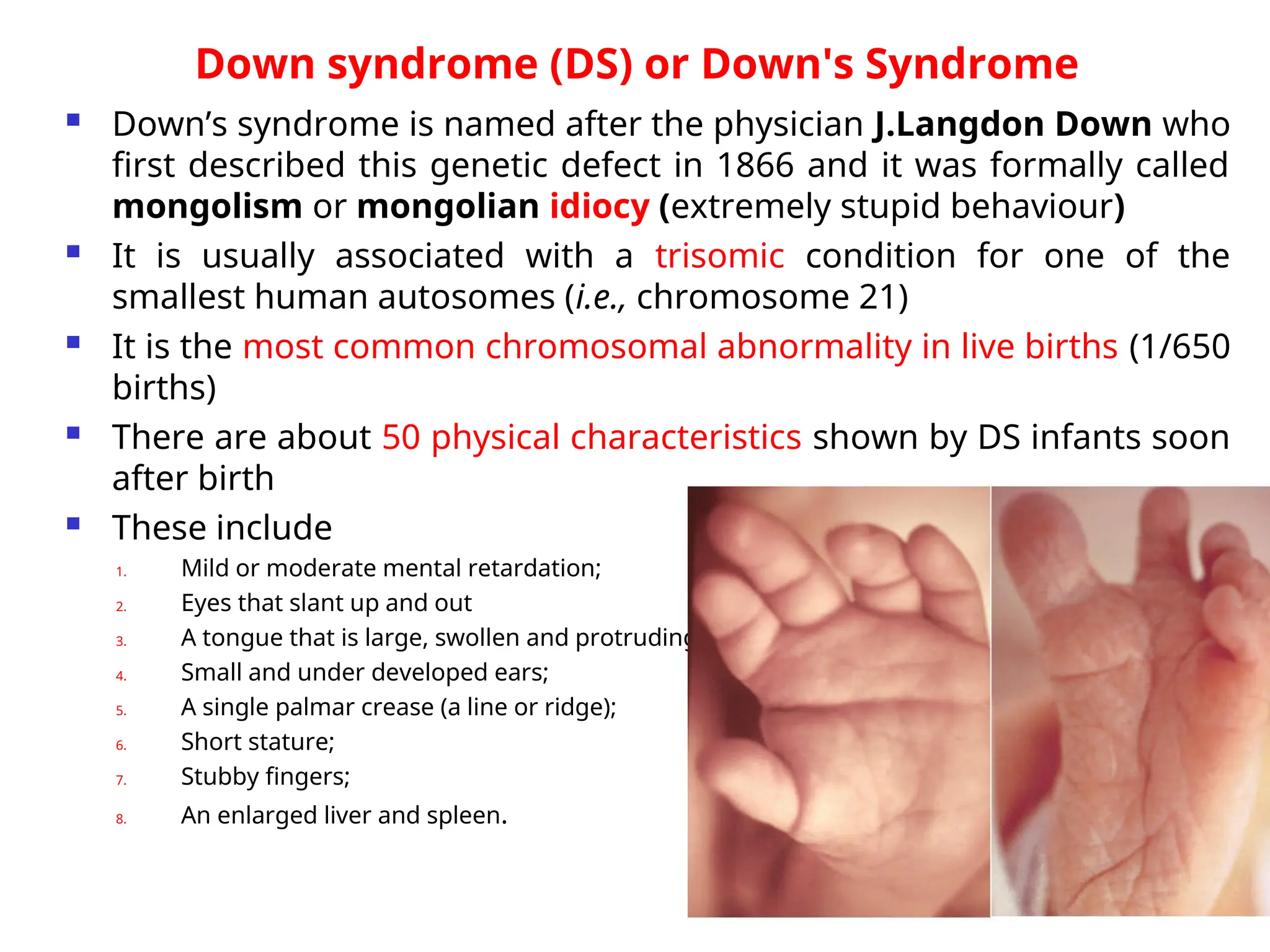 Chromosomal Mutations II (Entire Set of Chromosome) | PPT