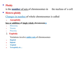 Chromosomal Mutations II (Entire Set of Chromosome) | PPT