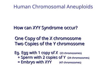 Chromosomal Mutations II (Entire Set of Chromosome) | PPT