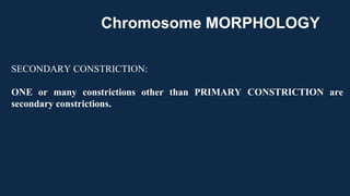 Chromosomal nomenclature | PPTX