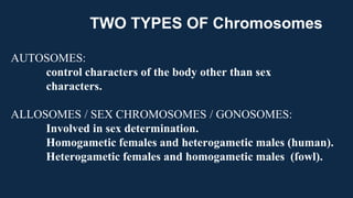 Chromosomal nomenclature | PPTX