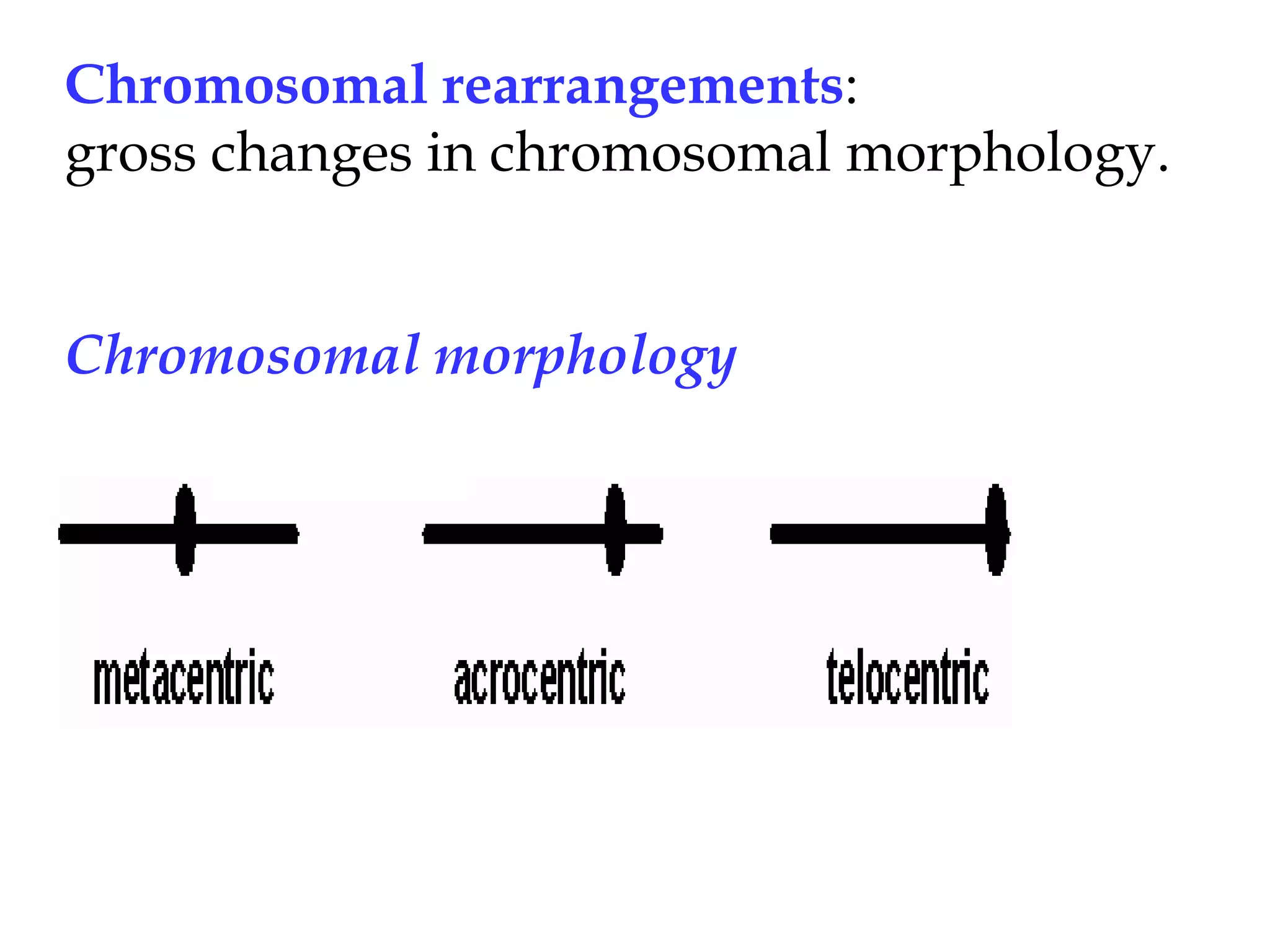 Chromosomal rearrangement pptx' | PPTX