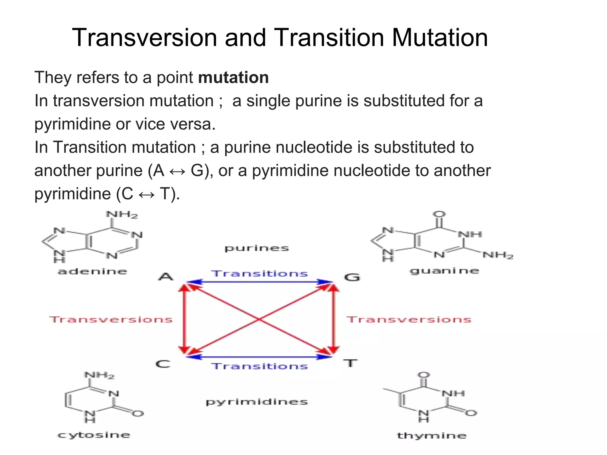 Chromosomal rearrangement pptx' | PPTX