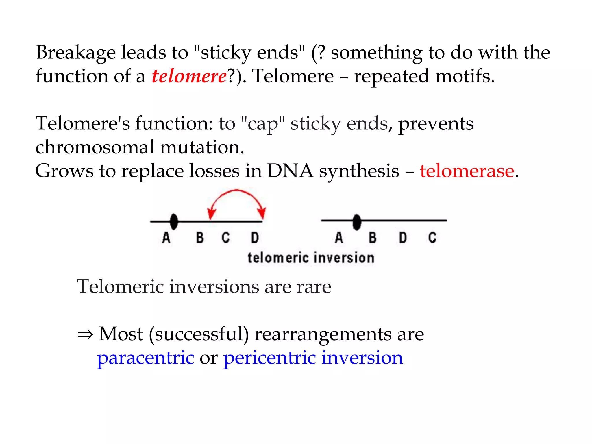 Chromosomal rearrangement pptx' | PPTX