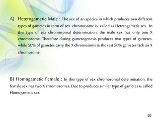 Chromosomal sex determination in man | PPT