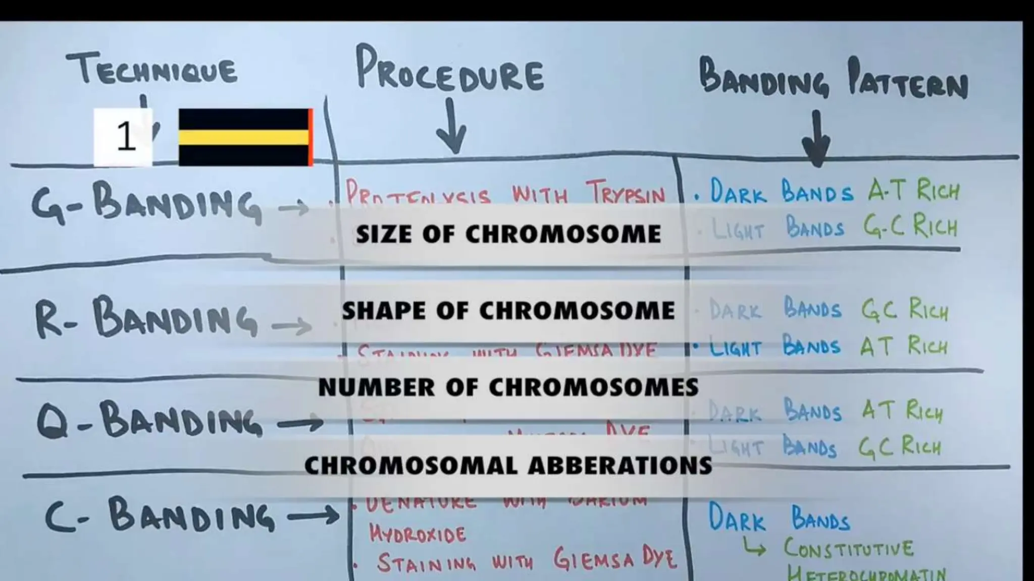 Chromosomal Staining.pptx