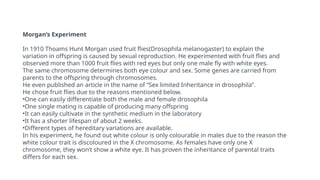 chromosomal theory - chromosomal theory - chromosomal theory.pptx