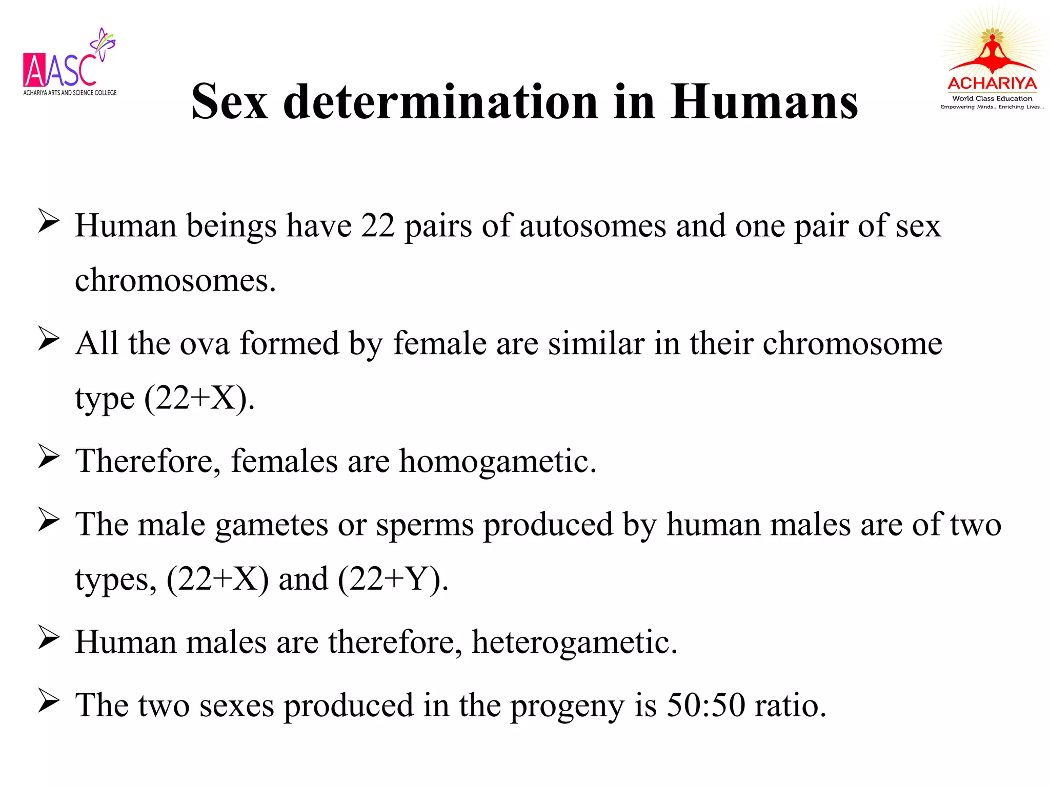 Chromosomal theory of inheritance | PPT